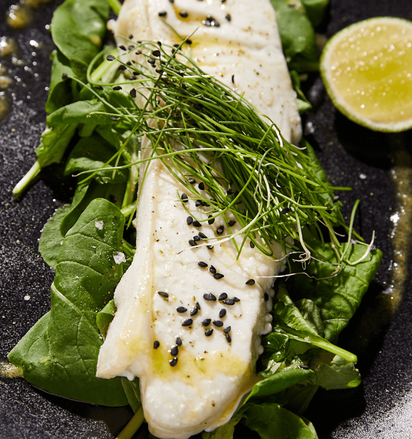 Halibut with ishikura sauce and black sesame seeds – Willo Farm